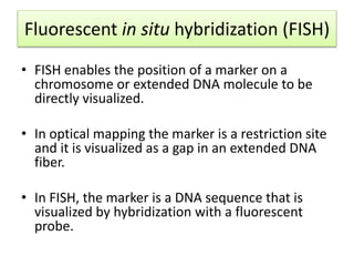 Gene mapping methods | PPTX