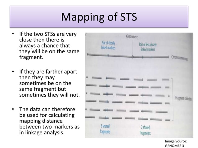 Gene mapping methods | PPTX