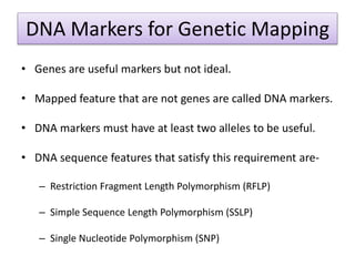 Gene mapping methods | PPTX
