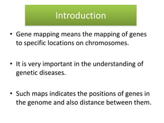 Simple Genetic Map