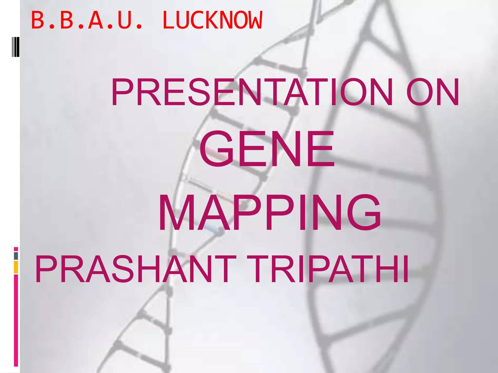 Gene mapping ppt | PPTX