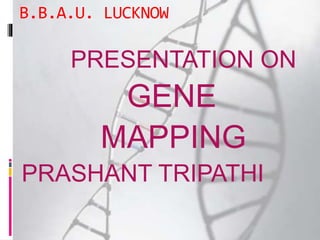 Gene mapping ppt | PPTX