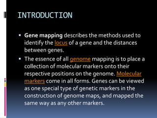 Gene mapping ppt | PPTX
