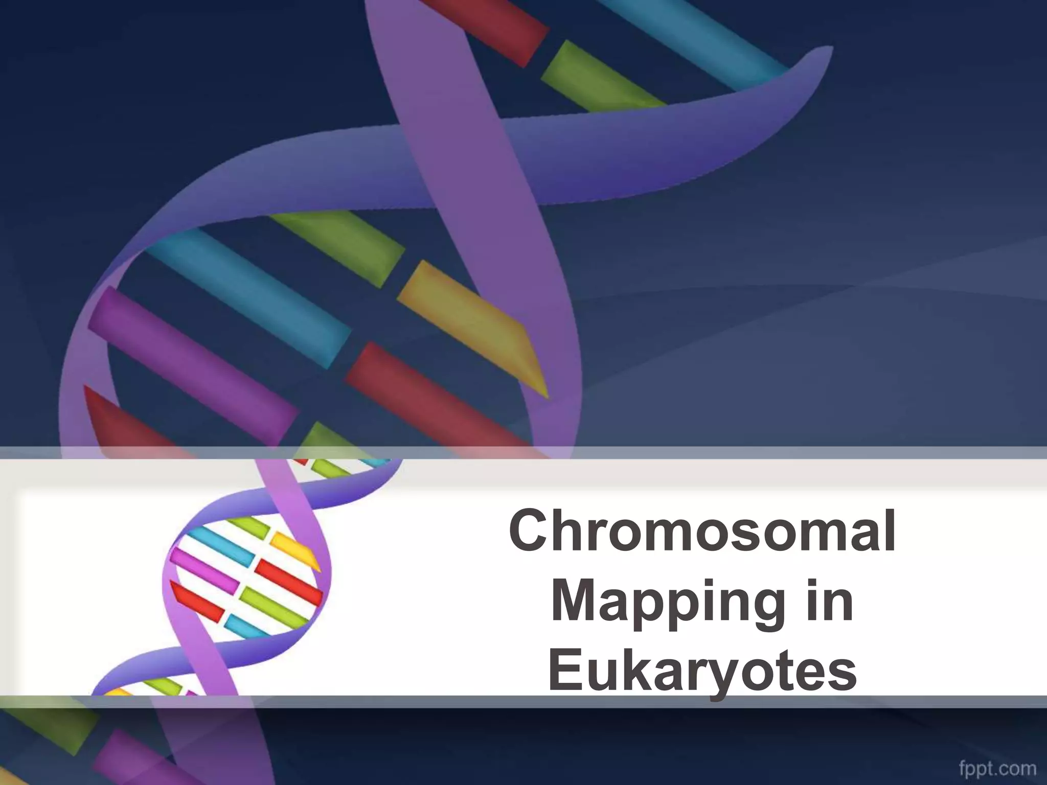 Gene mapping ppt | PPTX