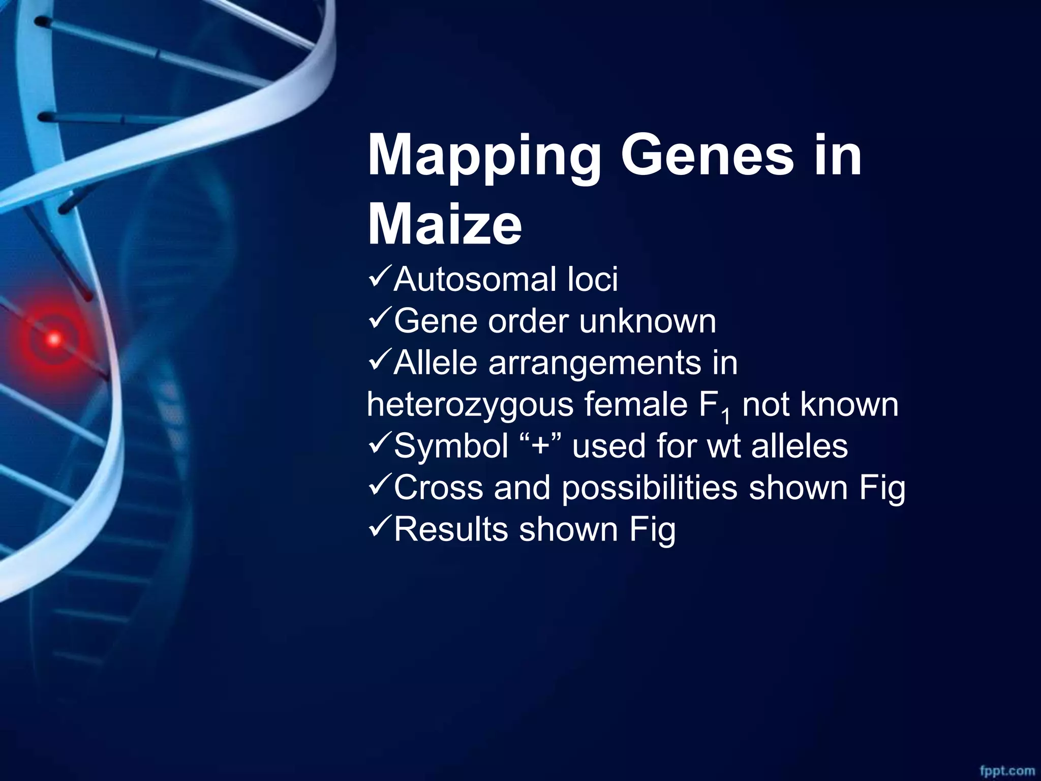 Gene mapping ppt | PPTX