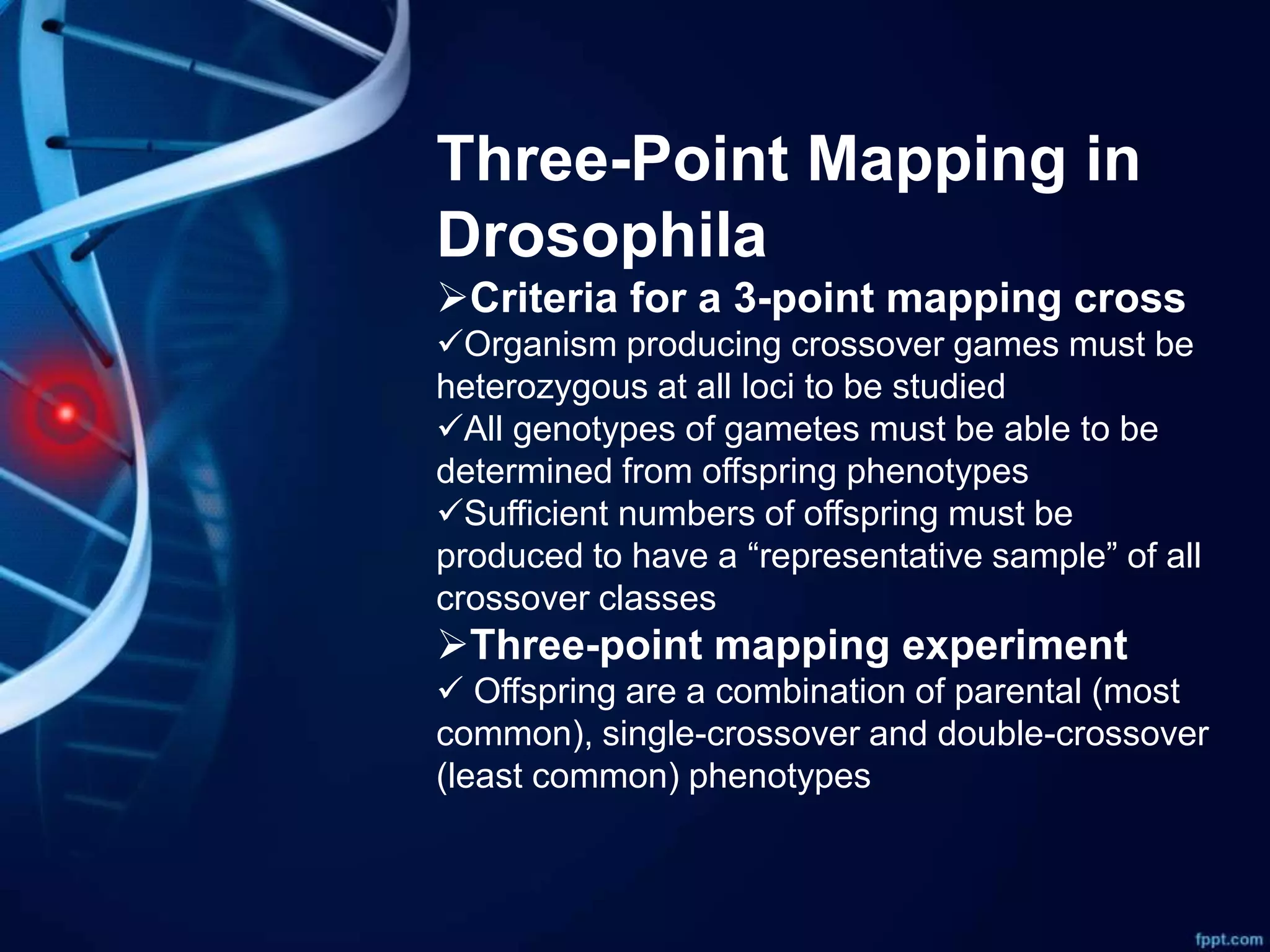 Gene mapping ppt | PPTX