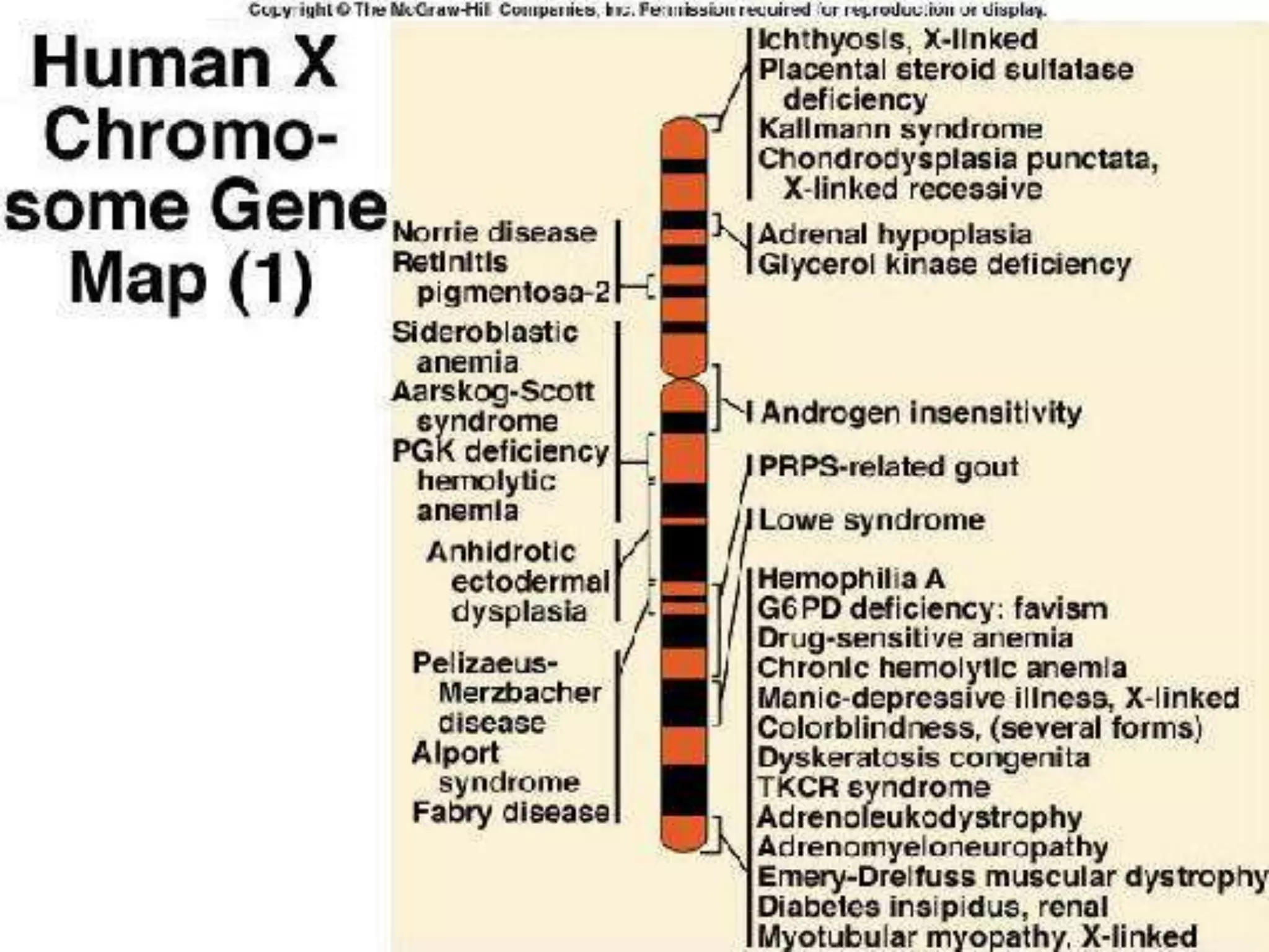 Gene mapping ppt | PPTX