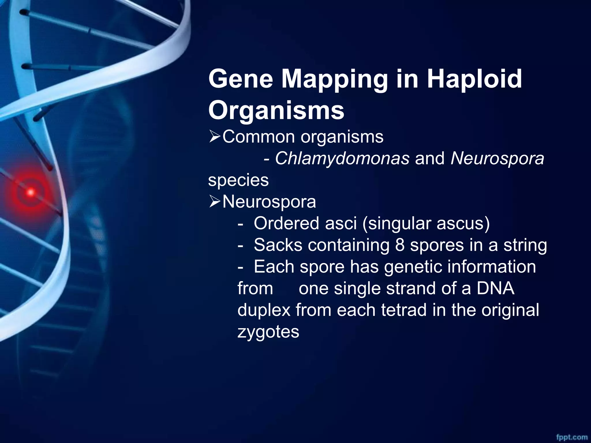 Gene mapping ppt | PPTX