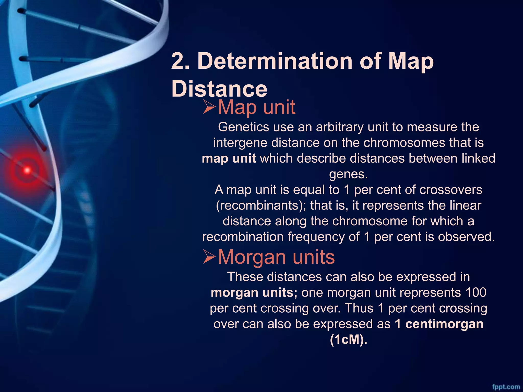 Gene mapping ppt | PPTX