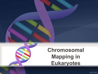 Gene mapping ppt | PPTX