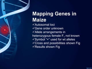 Gene mapping ppt | PPTX
