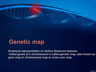 Gene mapping ppt | PPTX