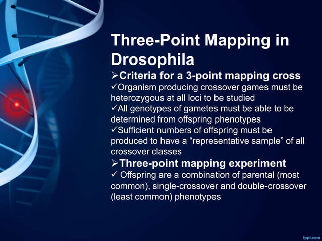 Gene mapping ppt | PPTX