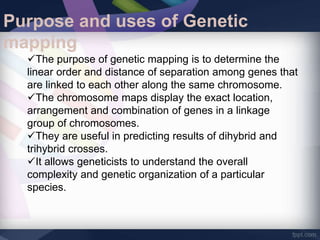 Gene mapping ppt | PPTX
