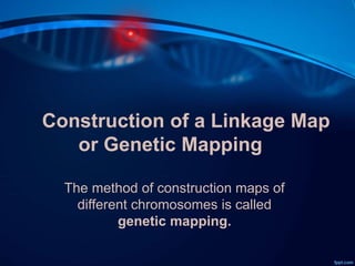 Gene mapping ppt | PPTX