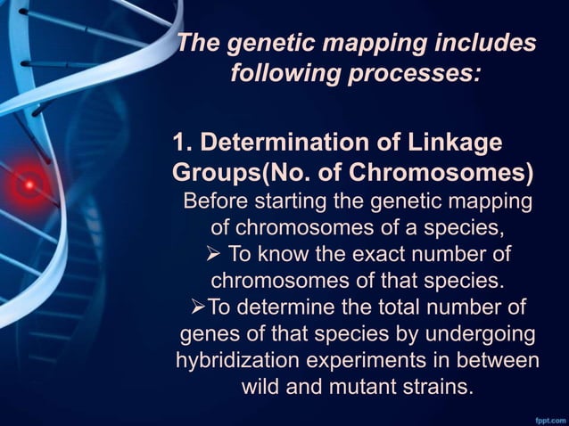 Gene mapping ppt | PPTX