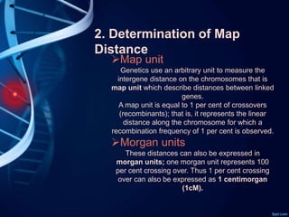 Gene mapping ppt | PPTX