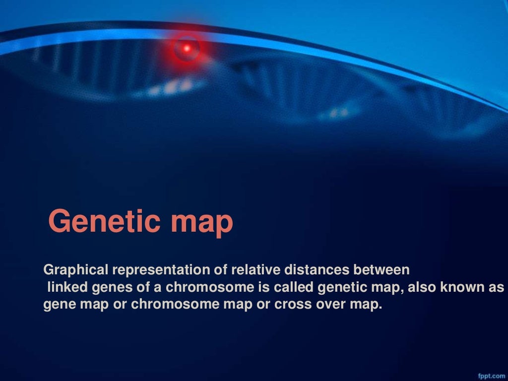Gene mapping ppt