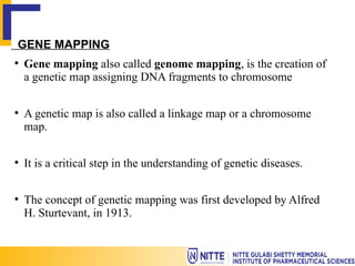 gene mapping presentation Molecular Biology | PPTX