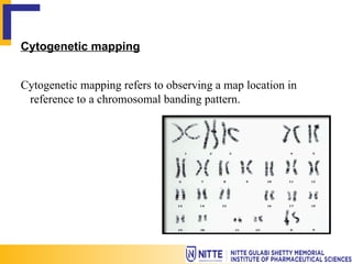 gene mapping presentation Molecular Biology | PPTX