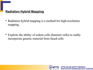 gene mapping presentation Molecular Biology | PPTX