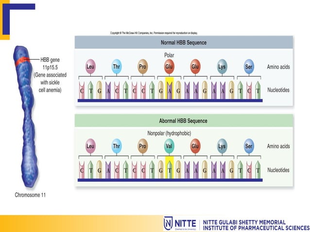 gene mapping presentation Molecular Biology | PPT