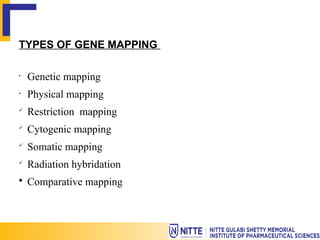 gene mapping presentation Molecular Biology | PPTX