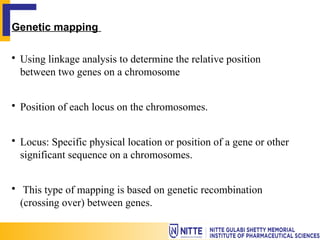 gene mapping presentation Molecular Biology | PPTX