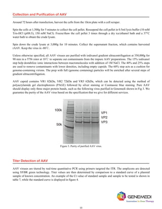Genemedi aav(adeno associated virus) user manual | PDF