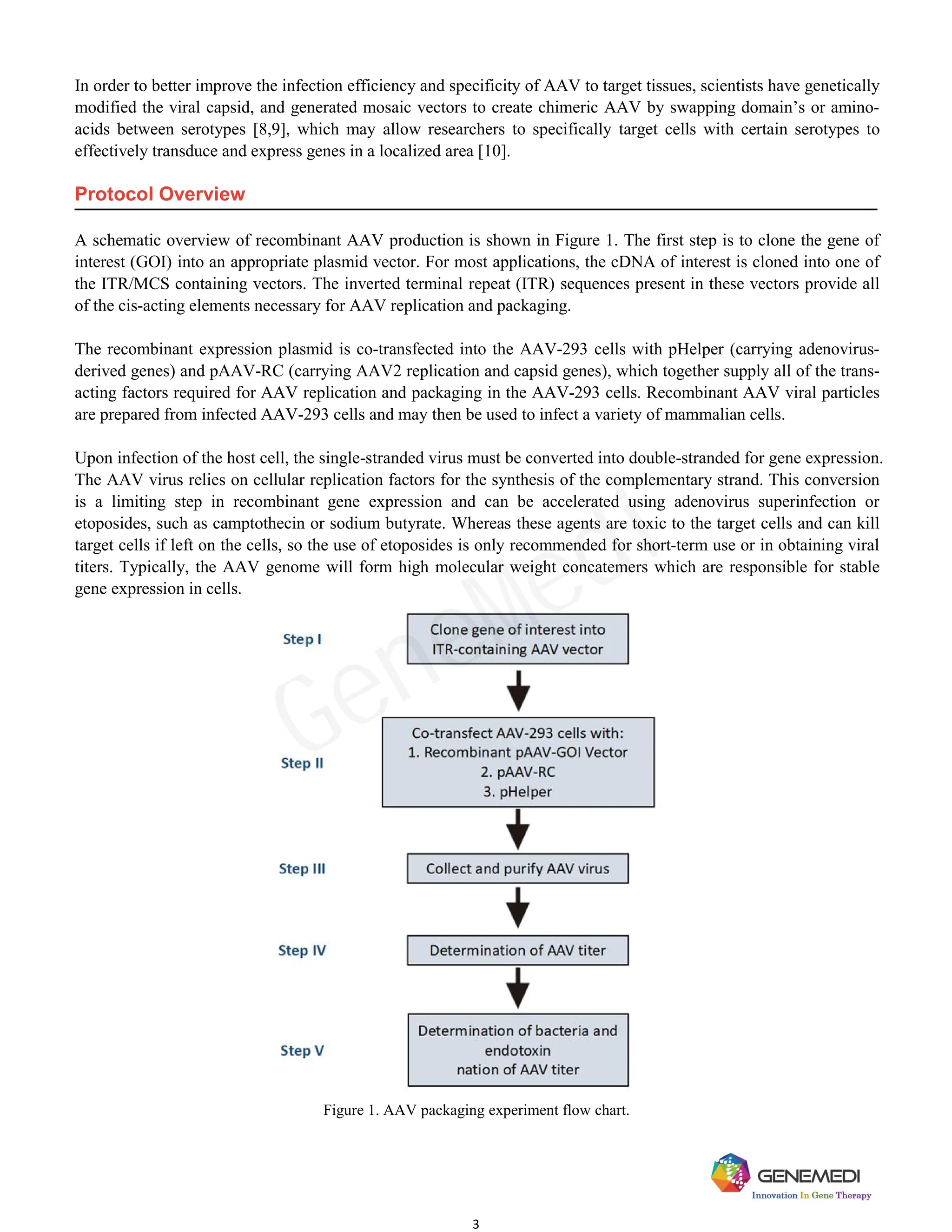 Genemedi-AAV production protocol-packaging concentration and ...