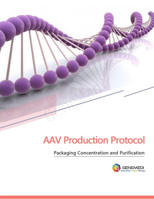GeneMedi-AAV production protocol-packaging concentration and purification | PDF