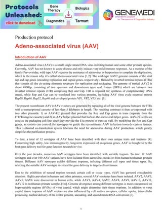 GeneMedi-AAV-protocol | PDF