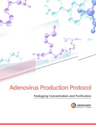 Genemedi-Adenovirus production protocol-packaging concentration and ...