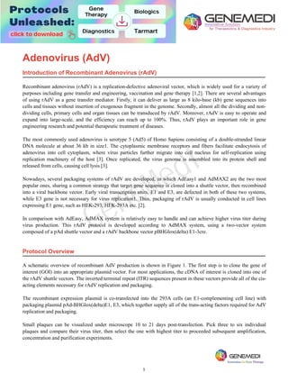 Genemedi Advanced Adenovirus Transduction Protocol | PDF