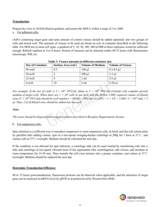 Genemedi Advanced Adenovirus Transduction Protocol | PDF