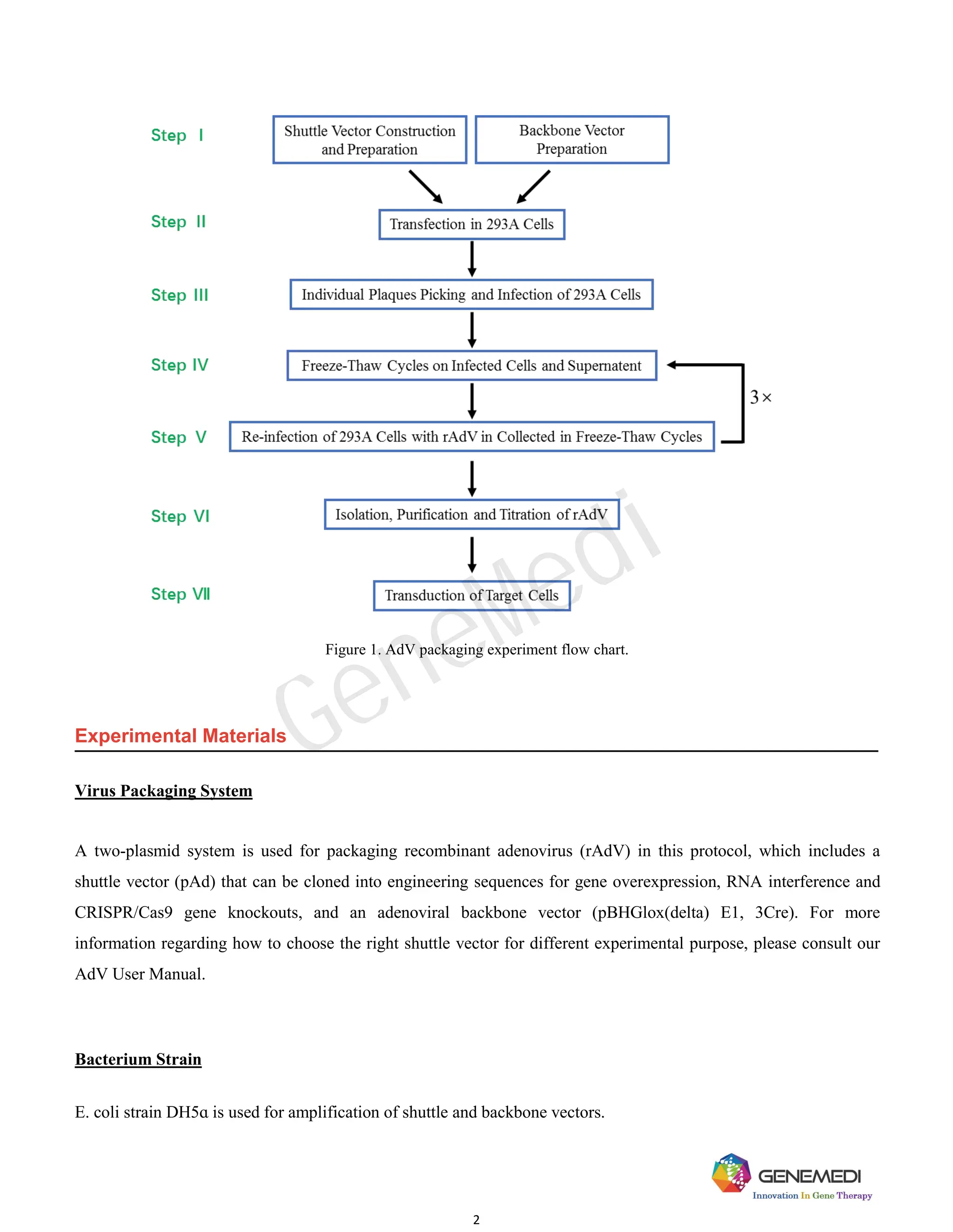 Genemedi-AdV_protocol. pdf | PDF