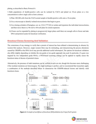 GeneMedi-Crispr cas9-protocol | PDF