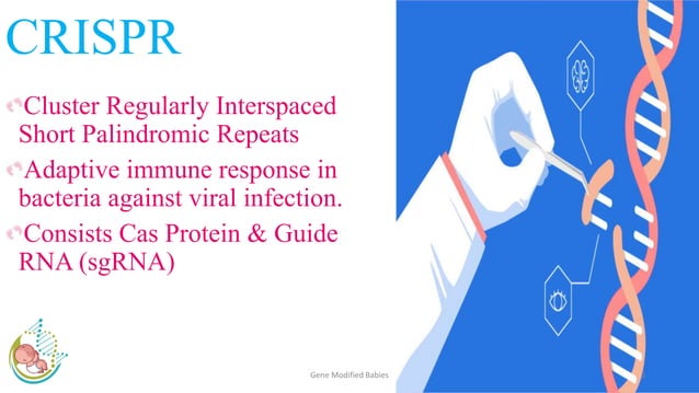 Gene modified babies | PPT