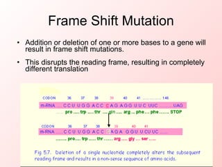 Gene mutation | PPT