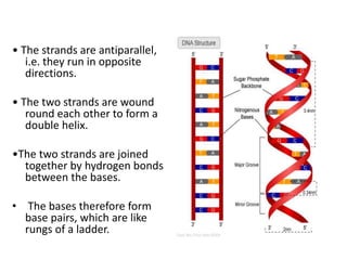 Gene mutation | PPTX