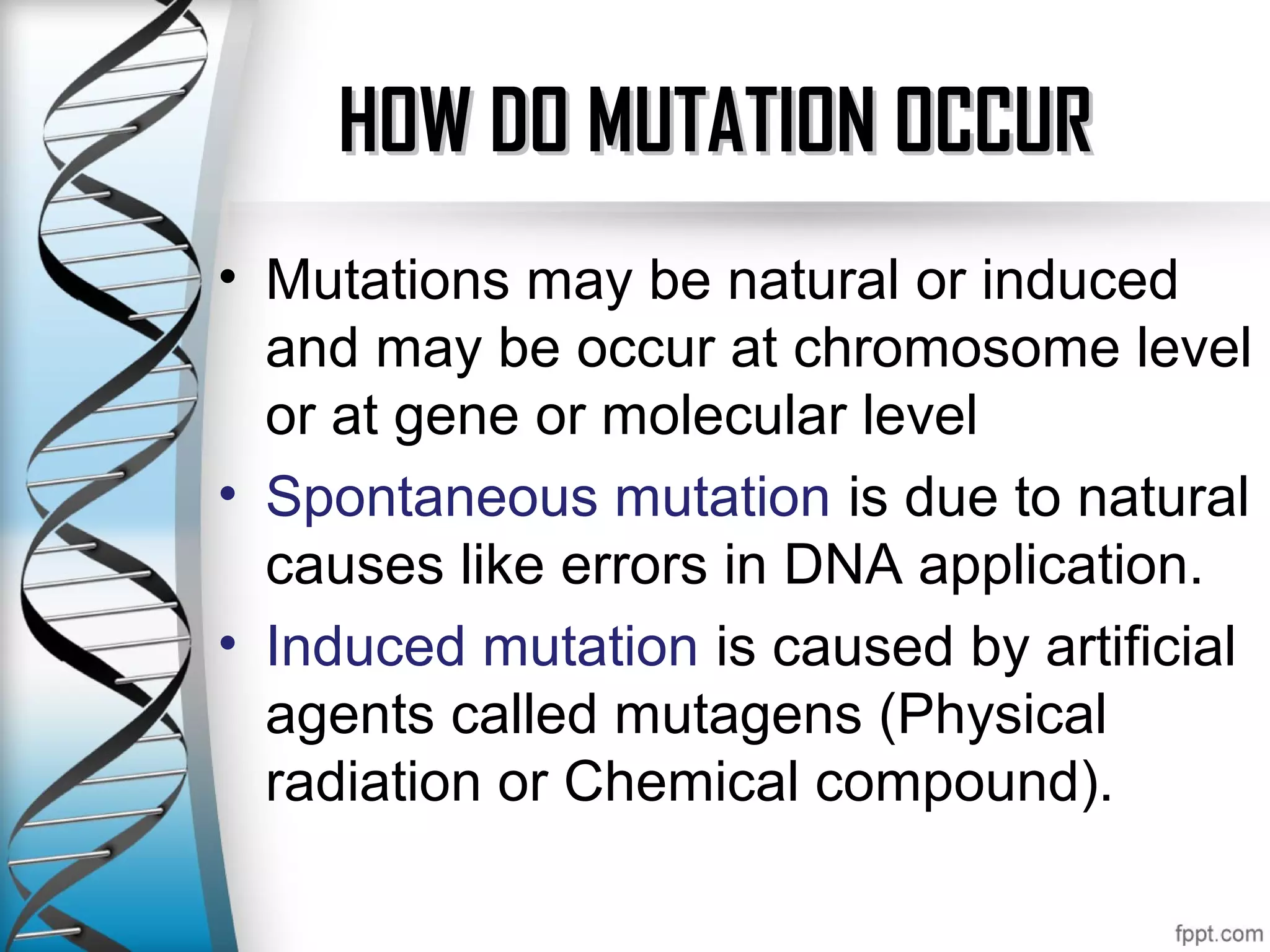 Gene mutation and its types | PPT