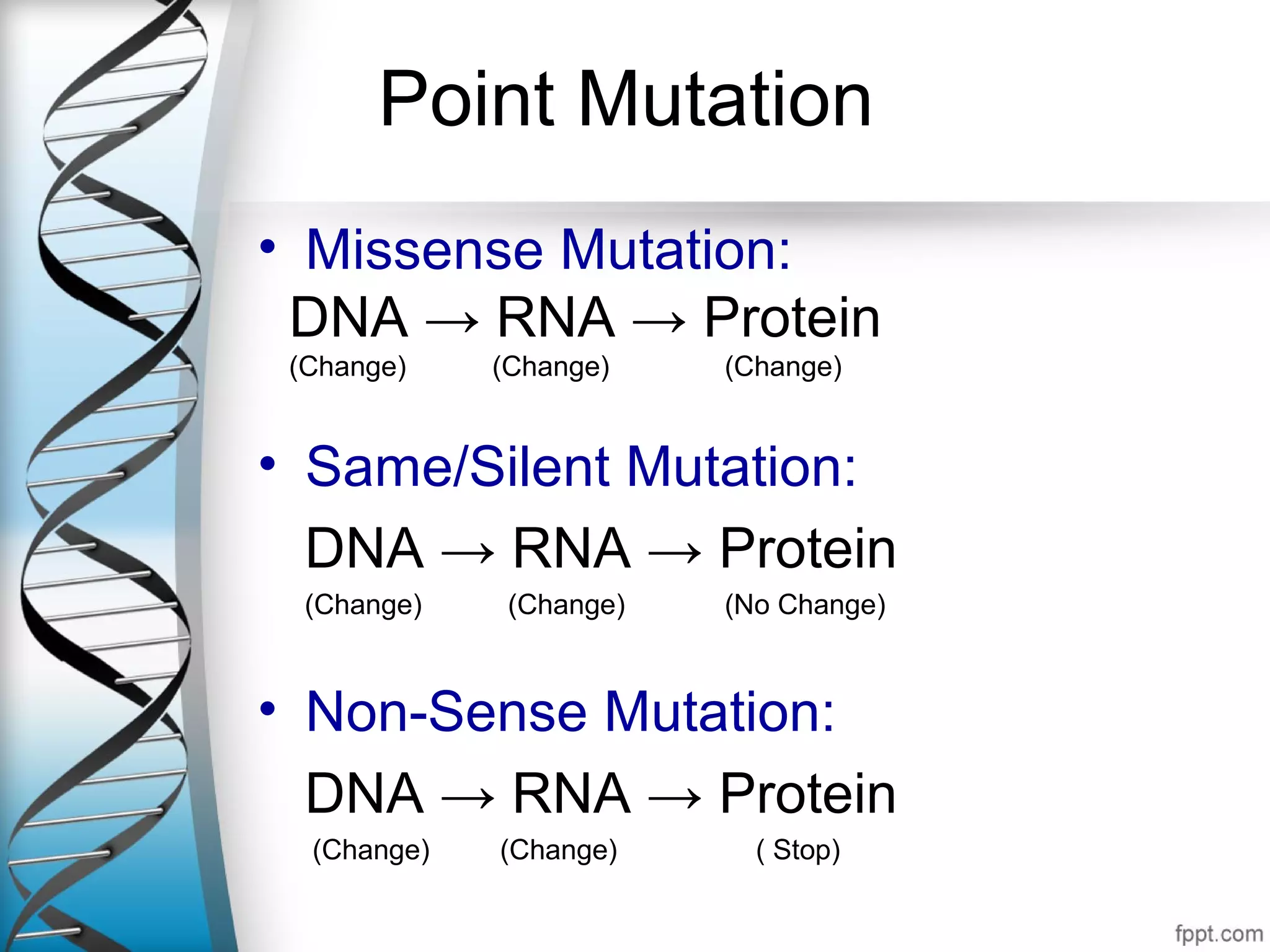 Gene mutation and its types | PPT