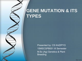 Gene mutation and its types | PPT