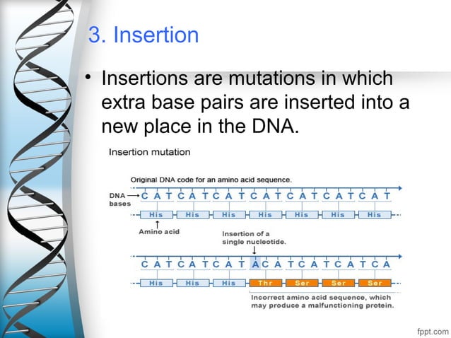 Gene mutation and its types | PPT | Genetics | Science