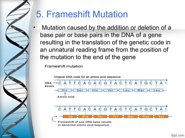 Gene mutation and its types | PPT | Genetics | Science