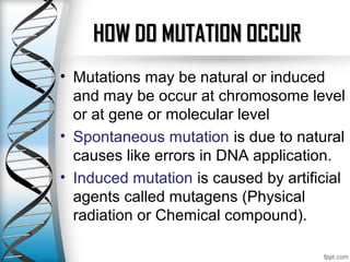 Gene mutation and its types | PPT