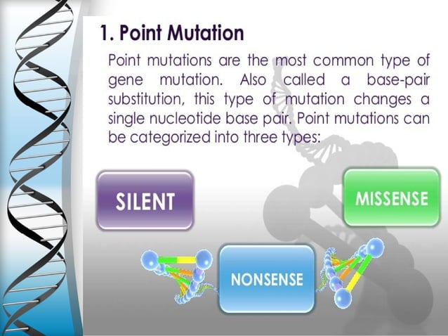 Gene mutation and its types | PPT | Genetics | Science