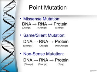 Gene mutation and its types | PPT