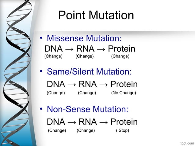 Gene mutation and its types | PPT | Genetics | Science