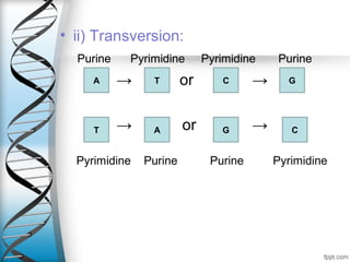 Gene mutation and its types | PPT